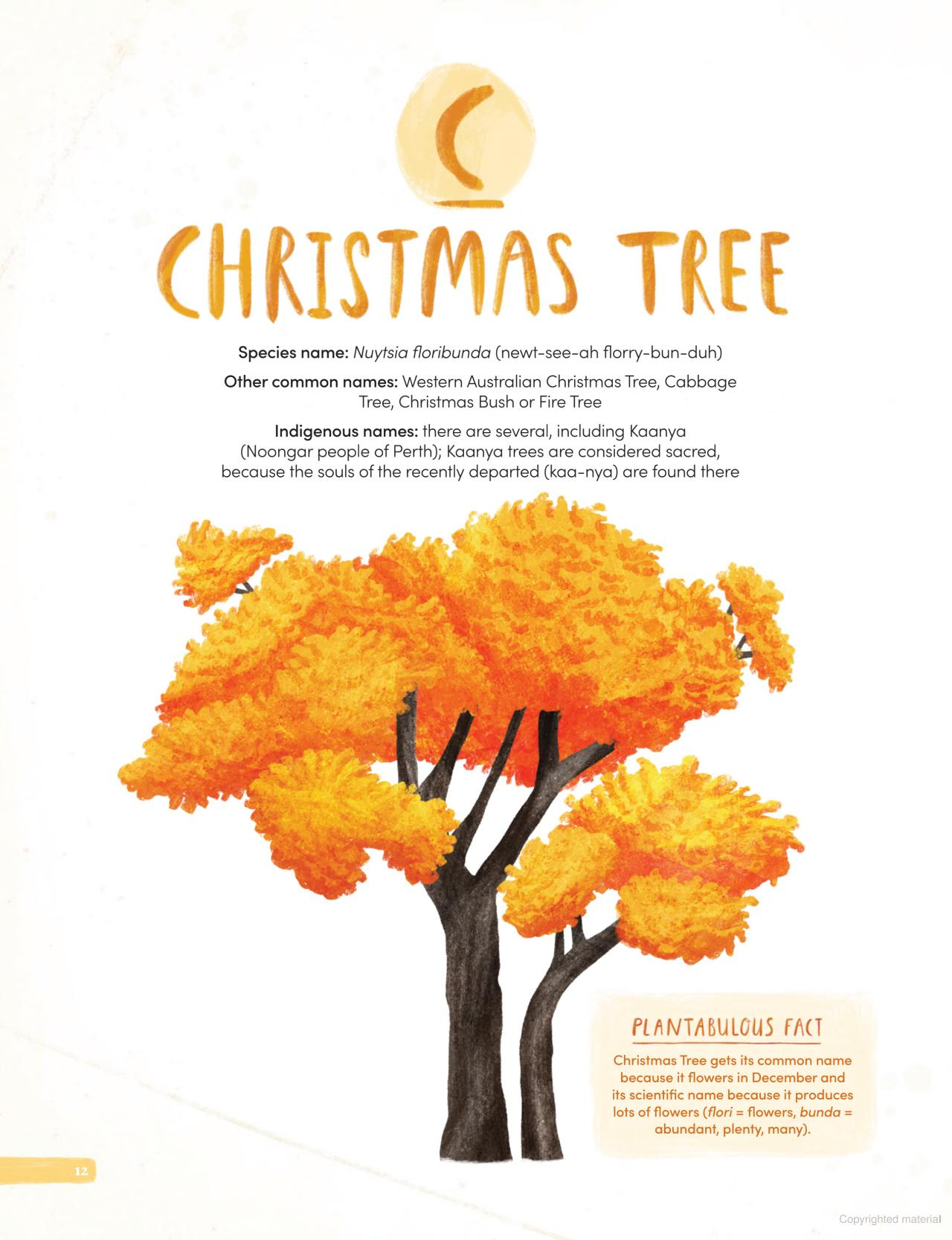 Plantabulous! More A to Z of Australian Plants – Little Toy Tribe