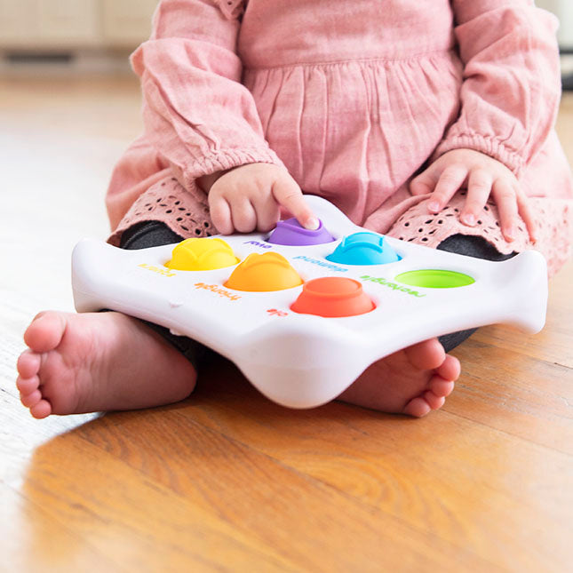 Dimpl Duo – Little Toy Tribe