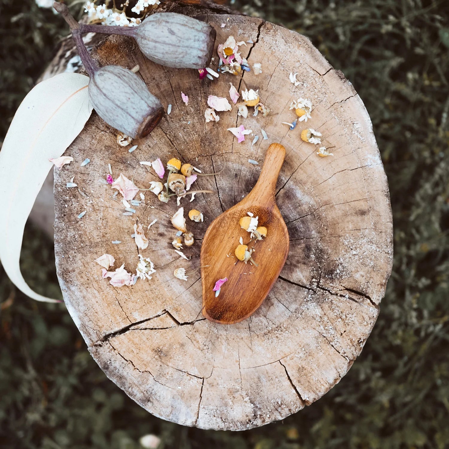 Leaf Scoop – Little Toy Tribe