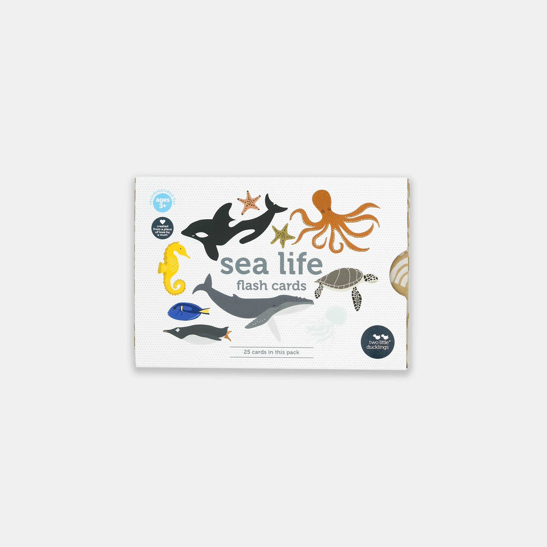 Sea Life Flash Cards – Little Toy Tribe