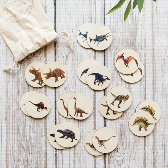 Real Life Dinosaurs - Memory Match – Little Toy Tribe